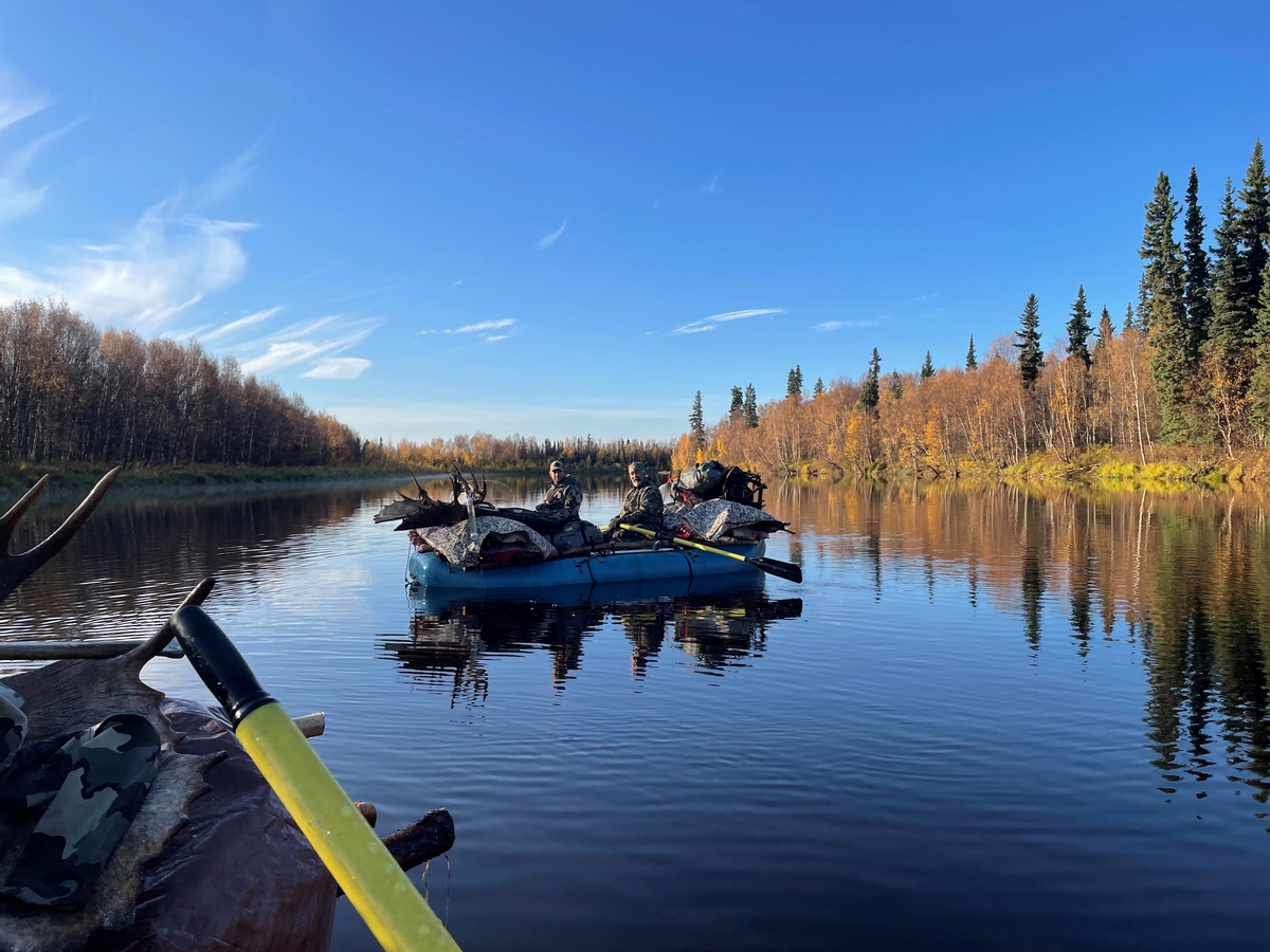 Unguided Moose Hunts Alaska | Moose Hunting without a guide in ...